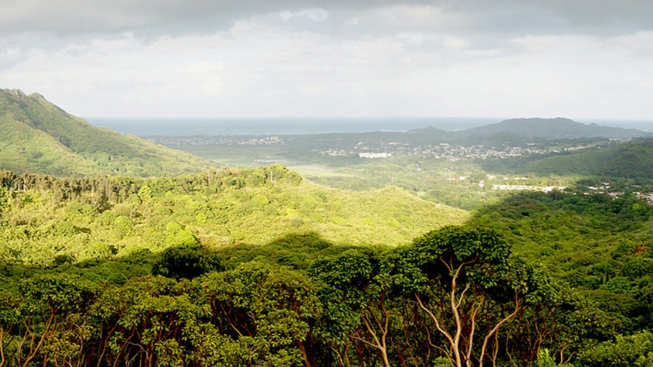One Aggie Network - Hawaii Network